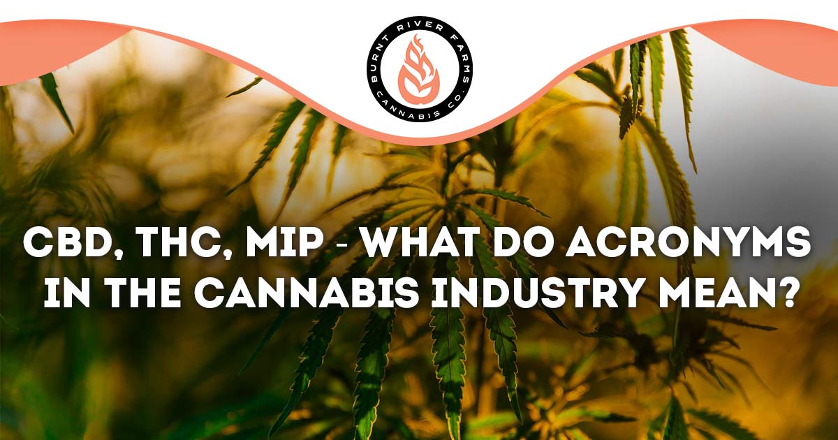 Acronyms In The Cannabis Industry CBD THC MIP And More